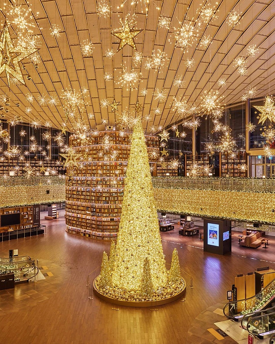 The World’s Most Beautiful Library Christmas Trees - Magazine