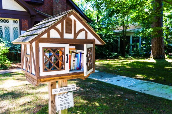 15 Little Free Libraries to Inspire You in 2025 - Magazine