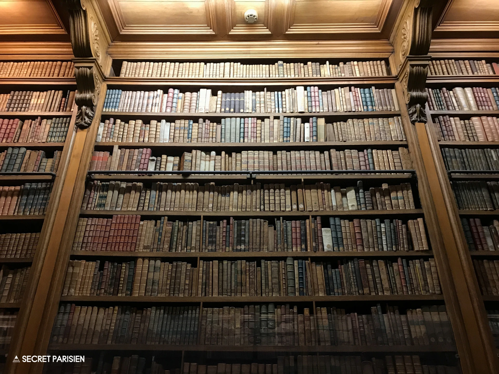Historic Beautiful French Library to Open to the Public in 2025 - Magazine
