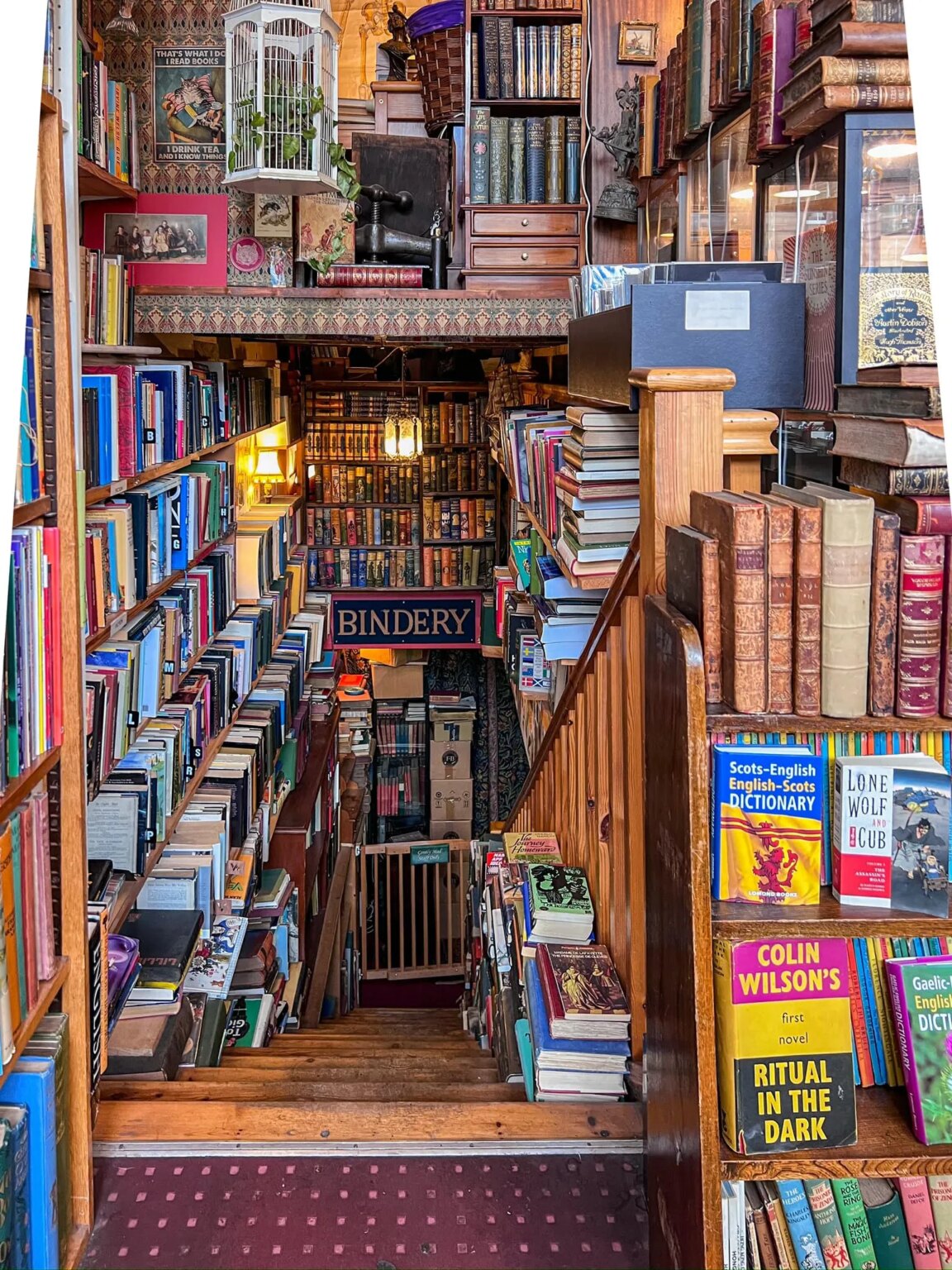 The Most Beautiful Bookstores in Europe to Visit in 2026 - Magazine